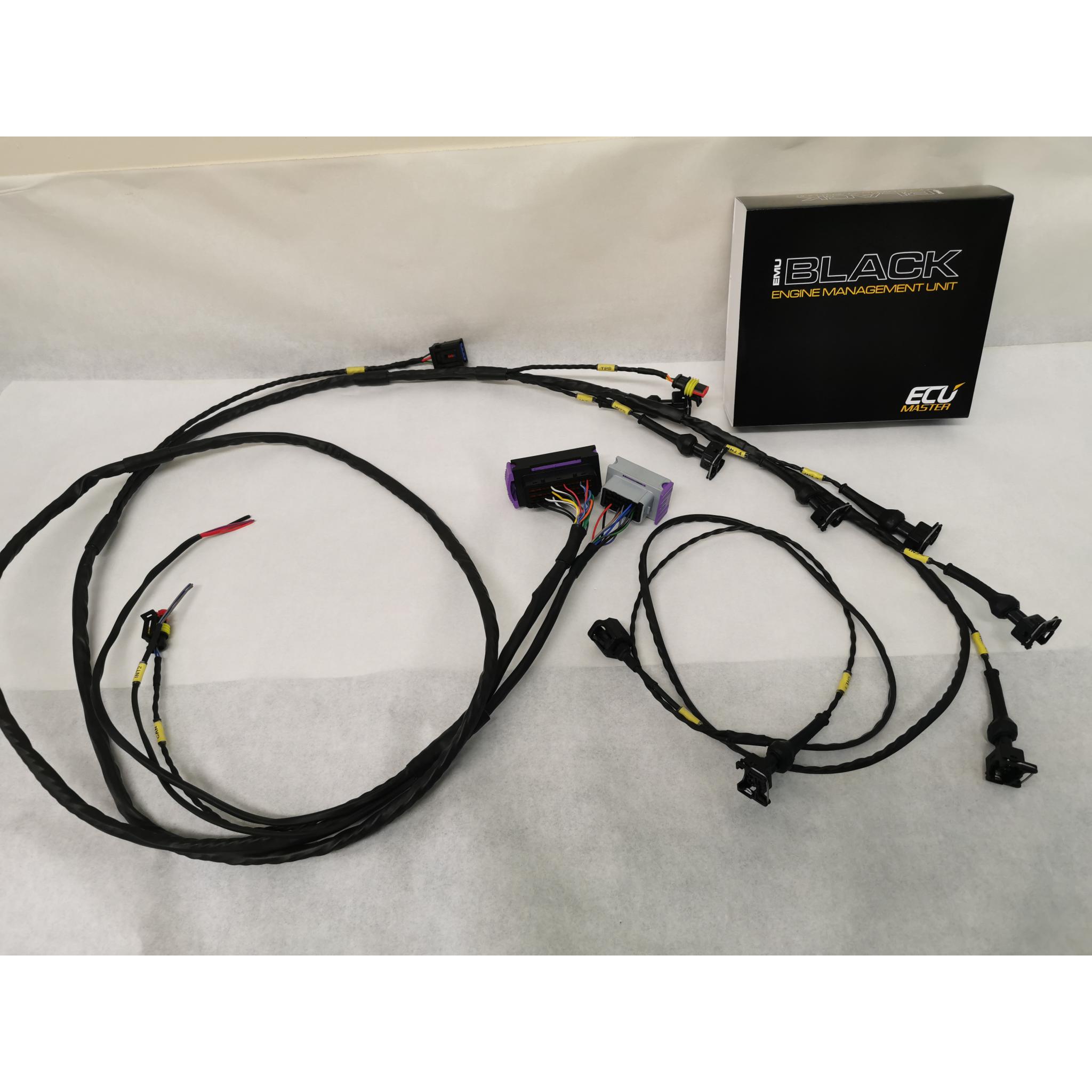 Ford Fiesta ST150 / Ecu-Master Black wiring loom / Ecu package