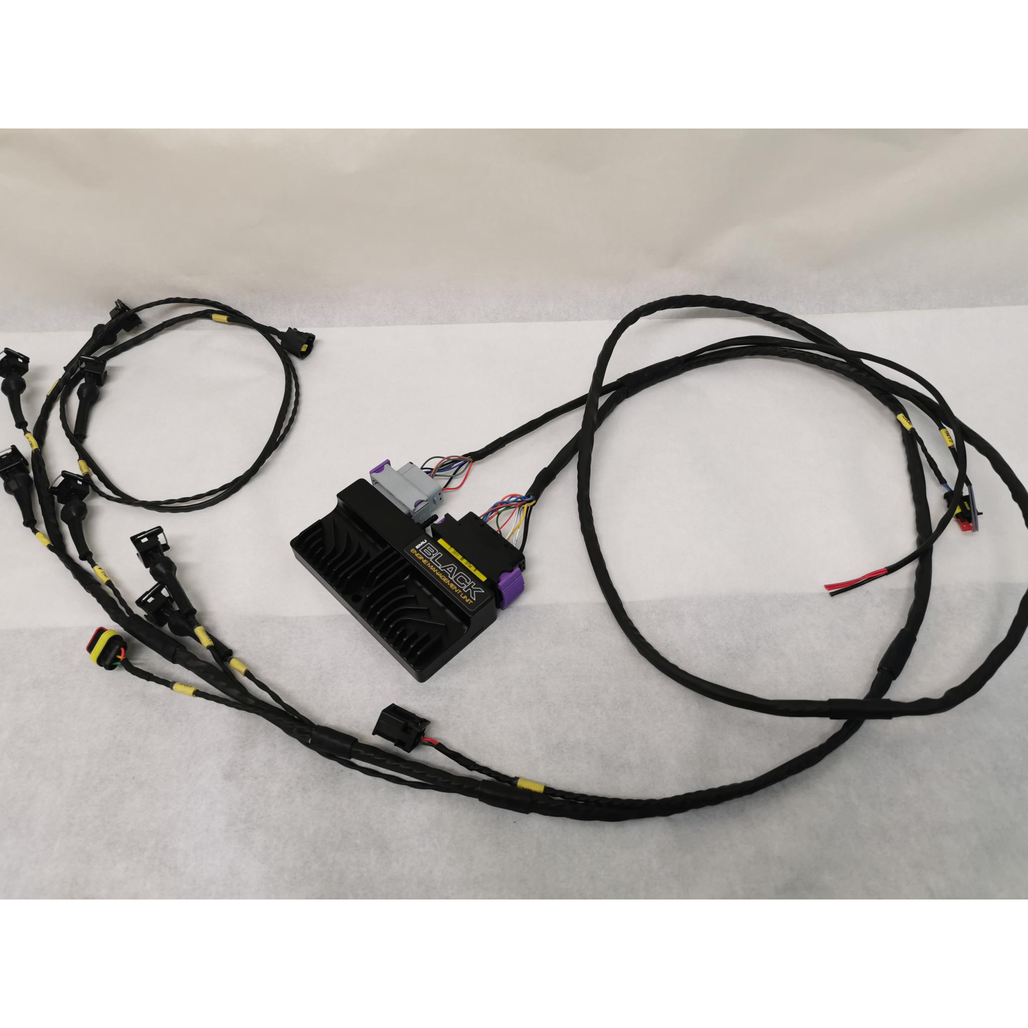 Ford Fiesta ST150 / Ecu-Master Black wiring loom / Ecu package
