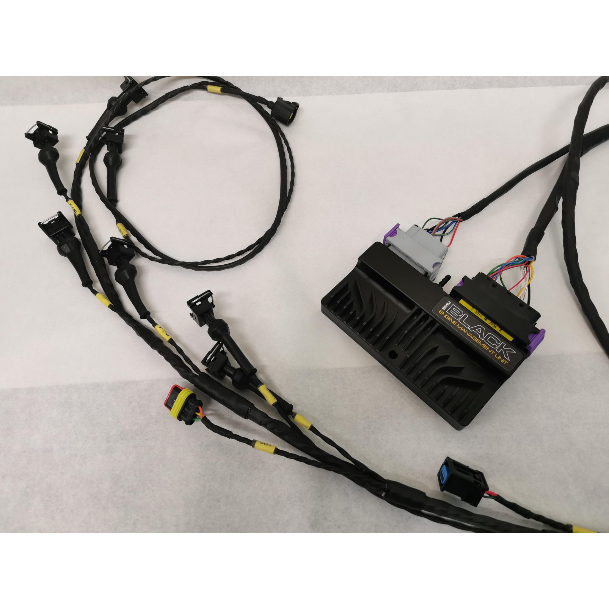 Ford Fiesta ST150 / Ecu-Master Black wiring loom / Ecu package